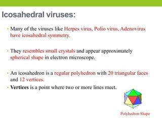 Virus structure and classification | PPT