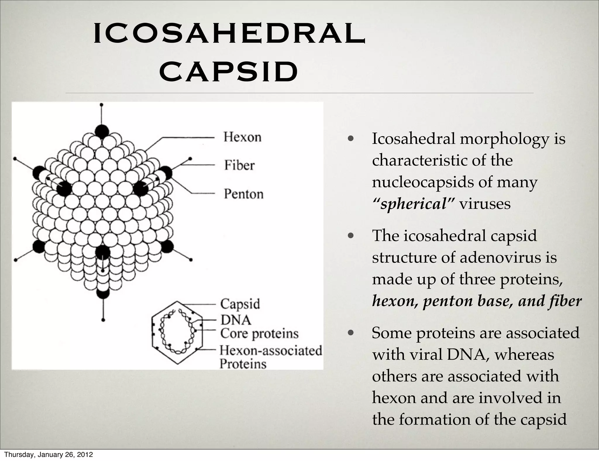 Virus structure: classification: replication | PDF