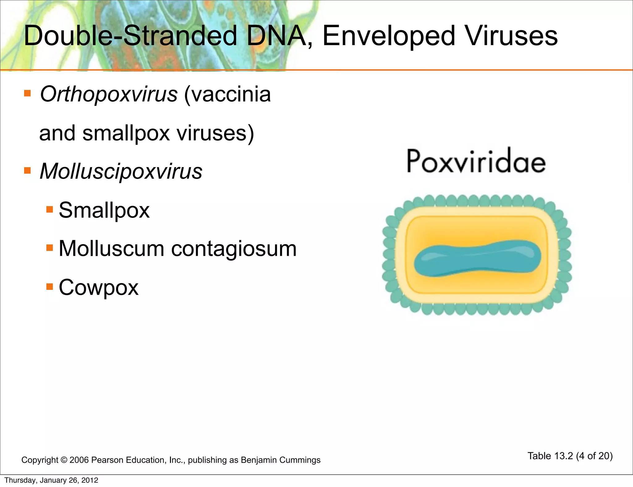 Virus structure: classification: replication | PDF