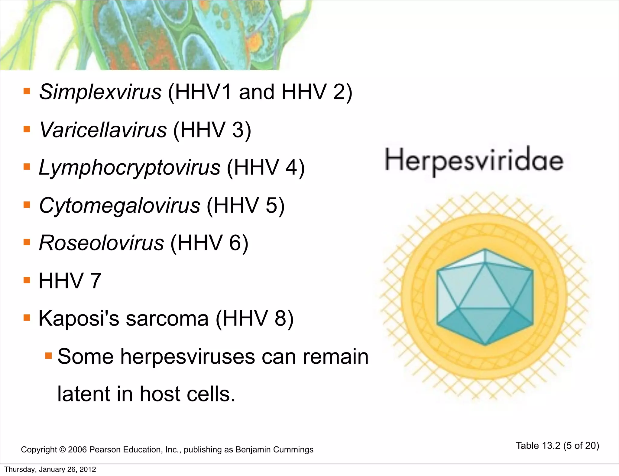 Virus structure: classification: replication | PDF