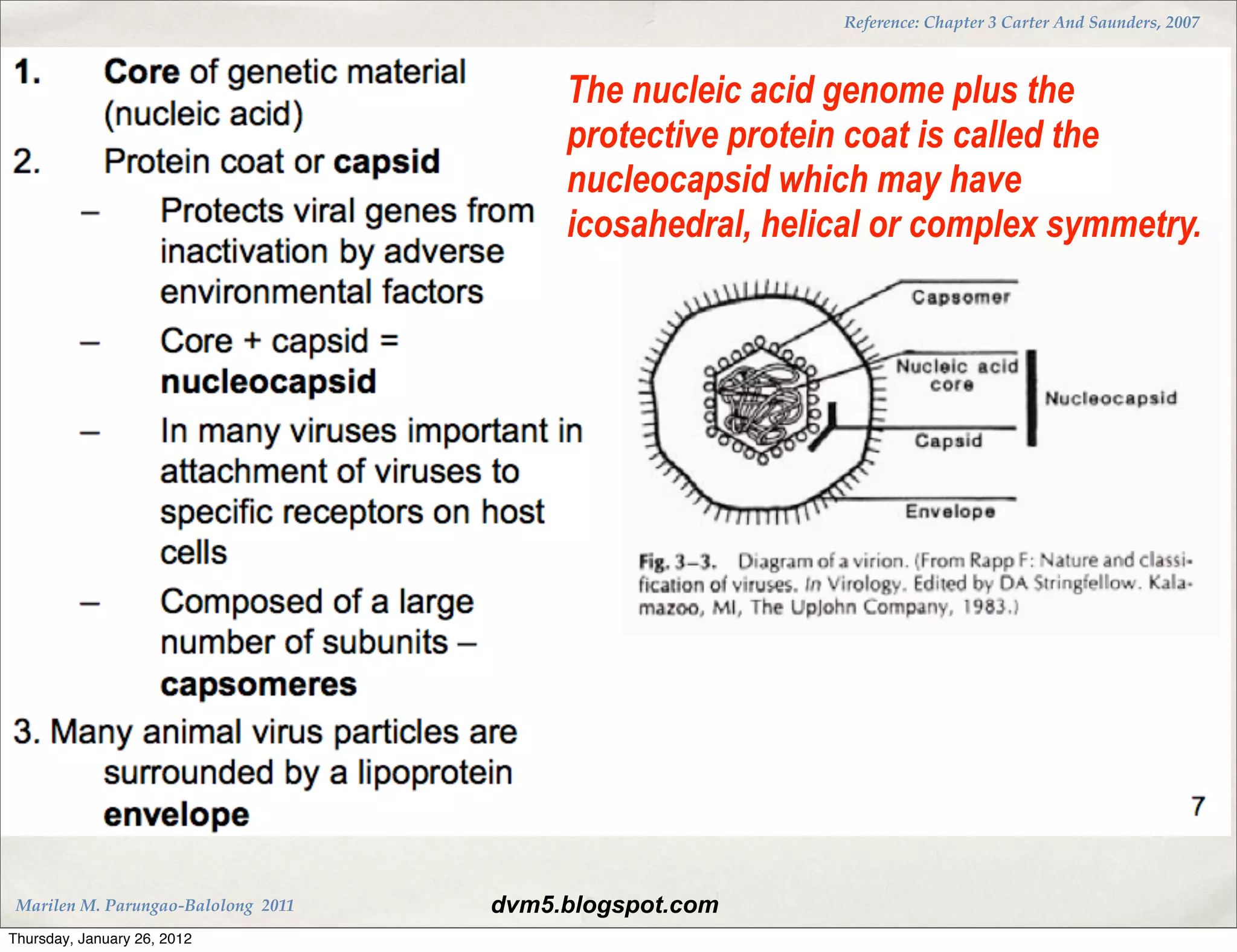 Virus structure: classification: replication | PDF