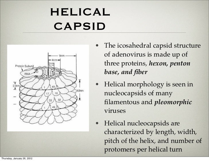 Virus structure: classification: replication