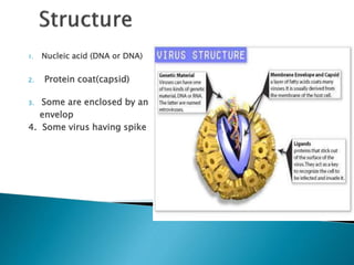 Virus structure Dr CK SUTHAR | PPT