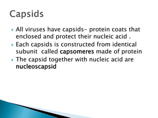 Virus structure Dr CK SUTHAR | PPT