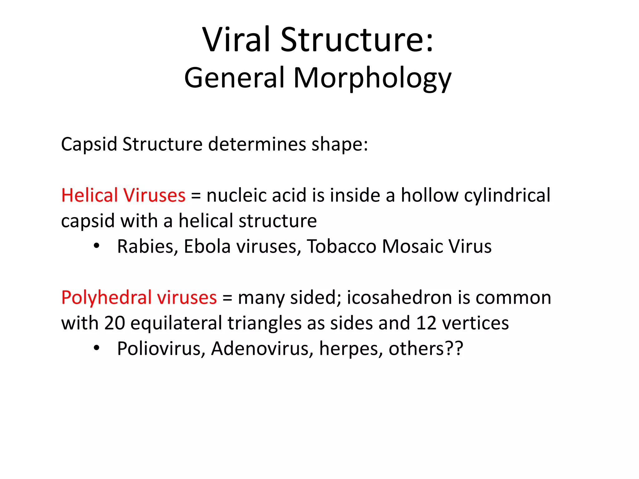 8 - Virus Structure Multiplication | PPT