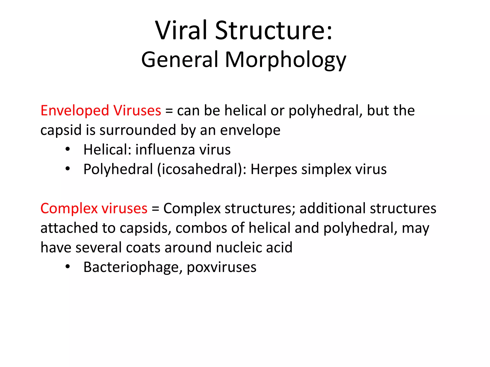 8 - Virus Structure Multiplication | PPT