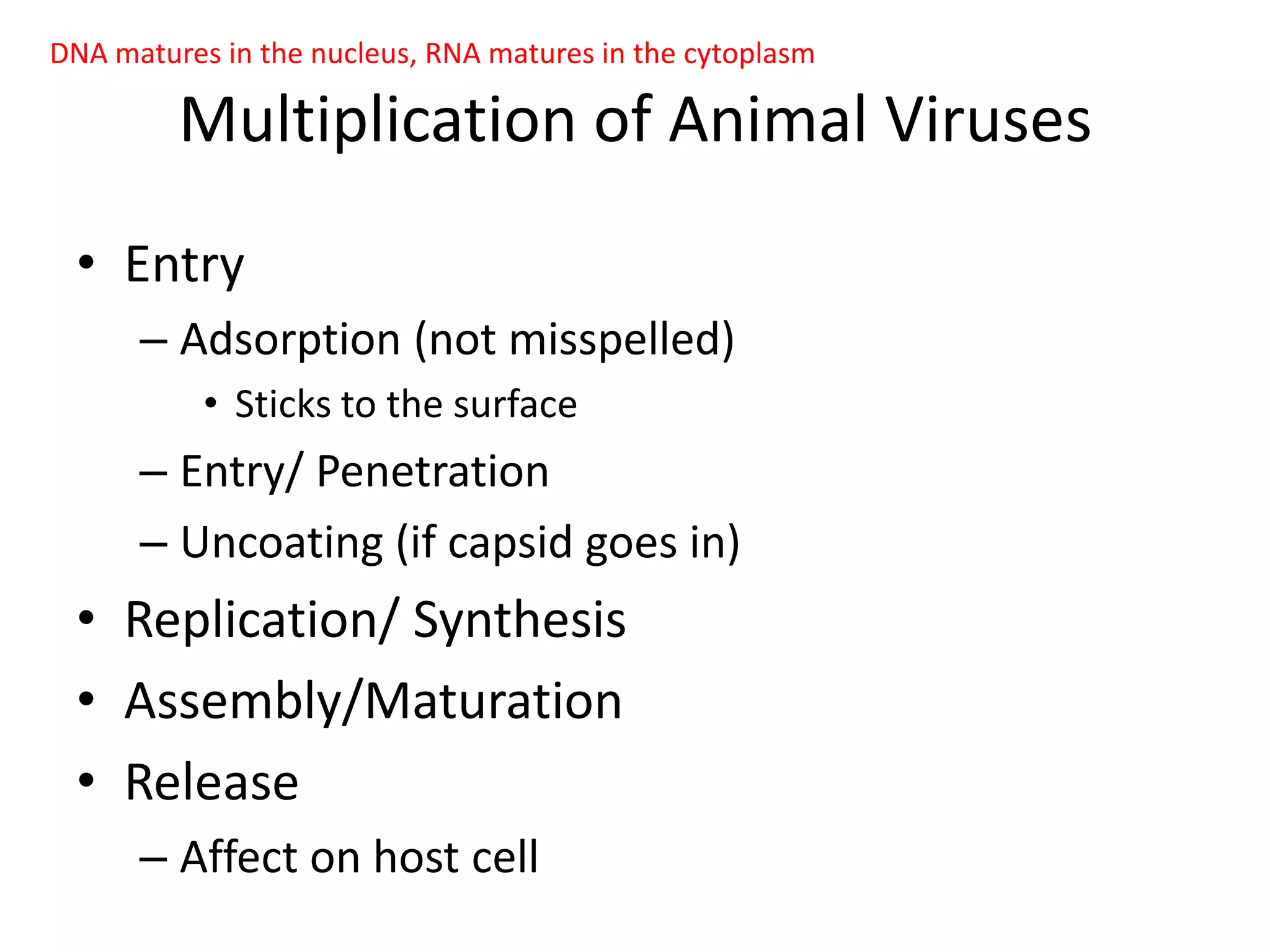 8 - Virus Structure Multiplication | PPT