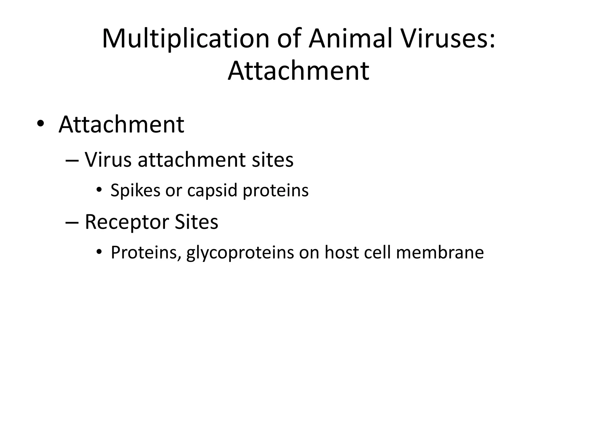 8 - Virus Structure Multiplication | PPT