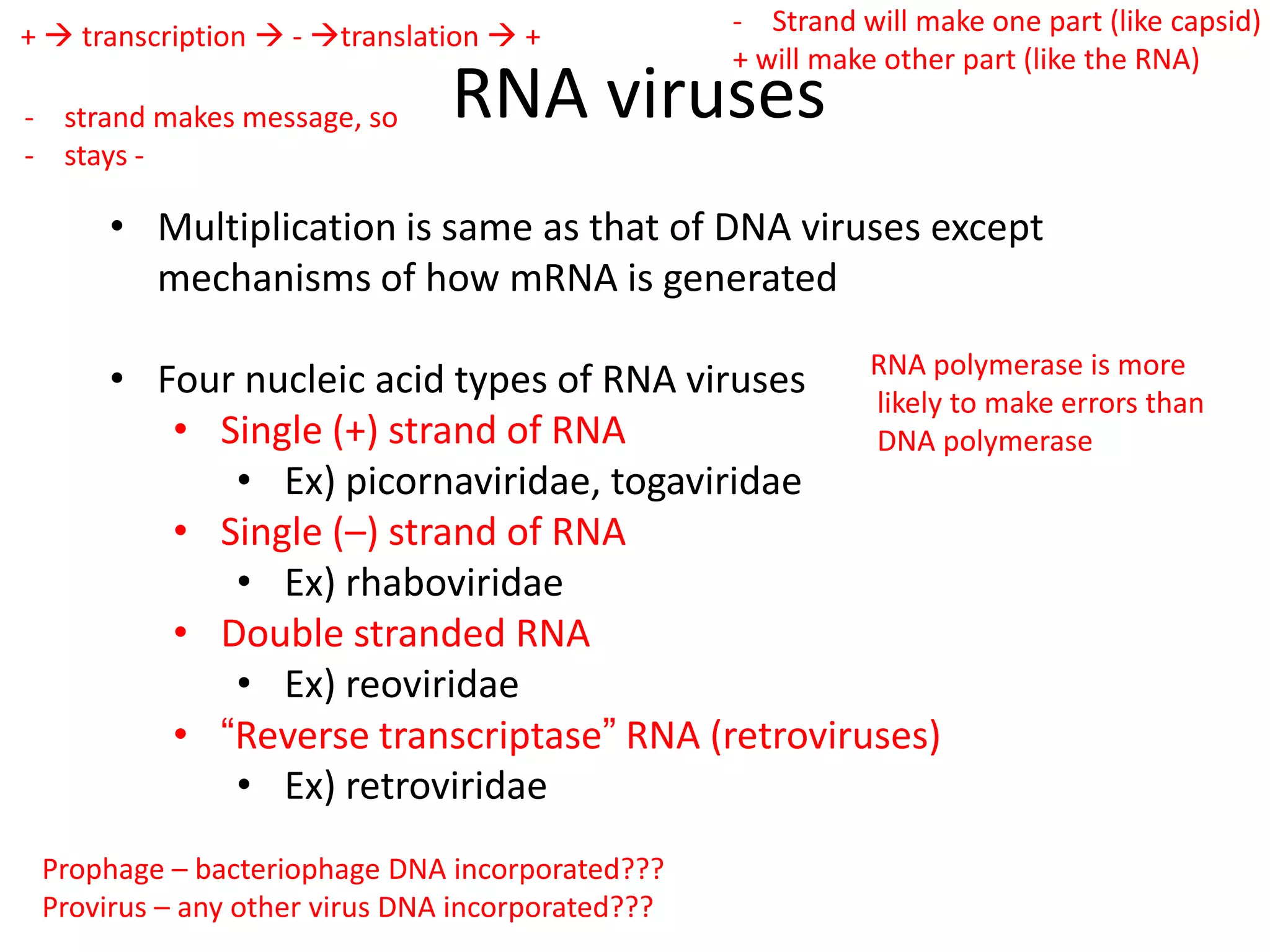8 - Virus Structure Multiplication | PPT