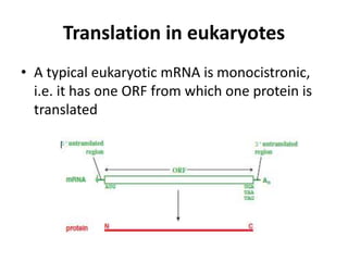 Virus translation | PPTX