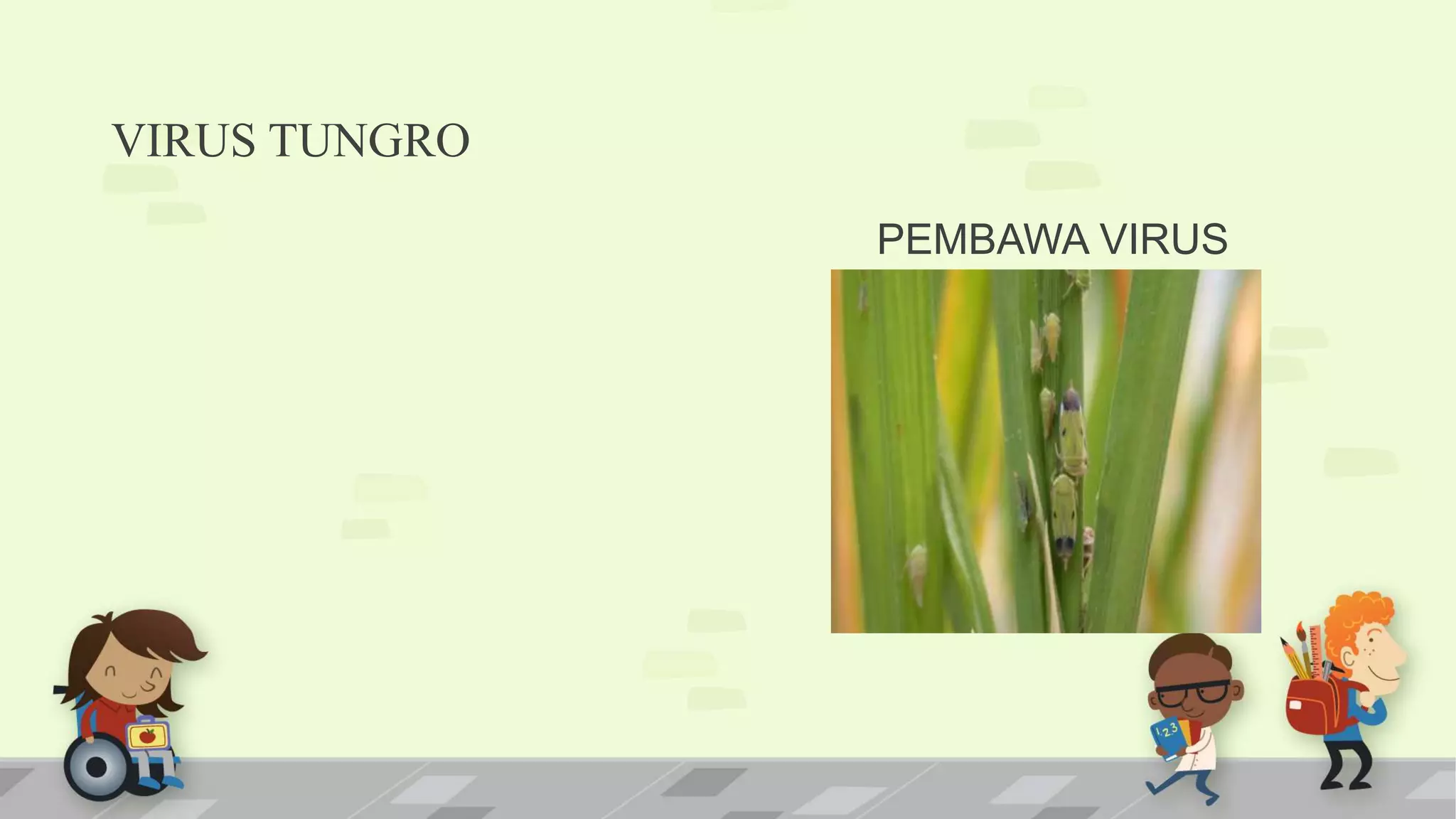 virus pada tanaman padi Virus tungro | PPTX