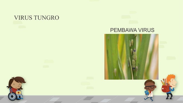 virus pada tanaman padi Virus tungro | PPTX