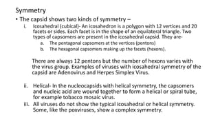 Virus | PPTX | Biological Sciences | Science
