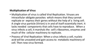 Virus | PPTX | Biological Sciences | Science