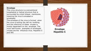 Virus, Viroid, Bacteriophage by BNP.pdf | Chemistry | Science