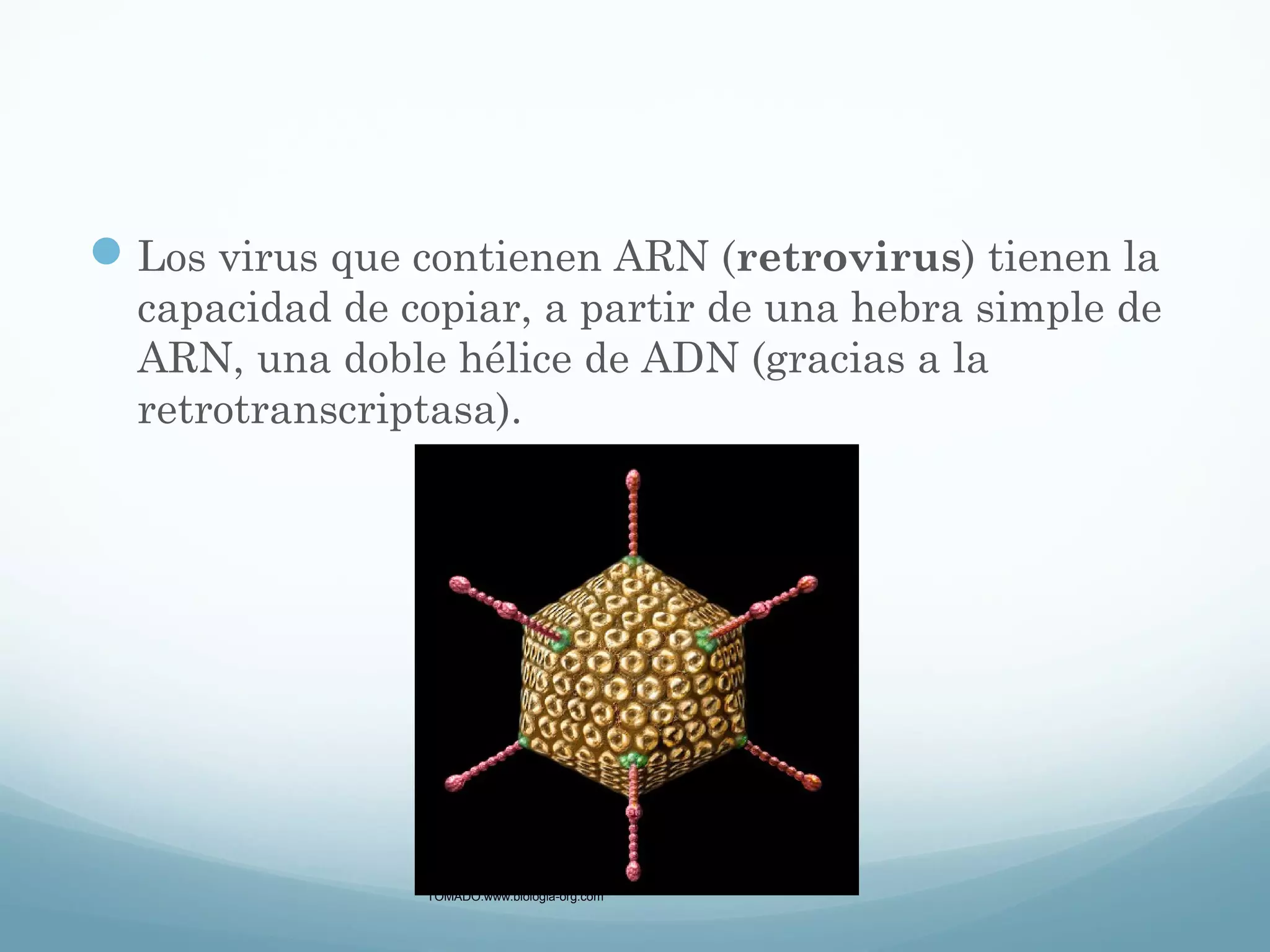 Virus viroides y priones Final | PPT