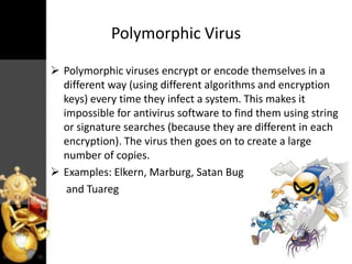 Virus vs anti virus | PPT