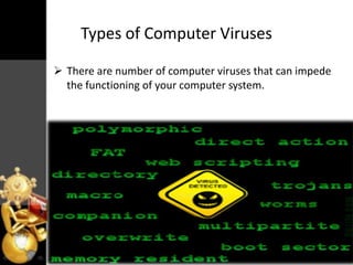 Virus vs anti virus | PPT