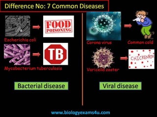 7 Major Differences between Virus and Bacteria (Virus vs bacteria) | PPTX