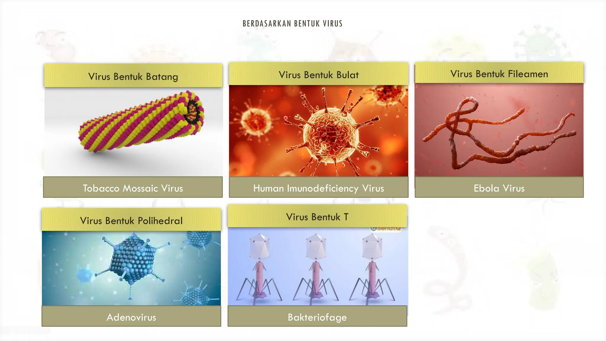 PPT Materi Virus untuk kelas X SMA/MA.pptx
