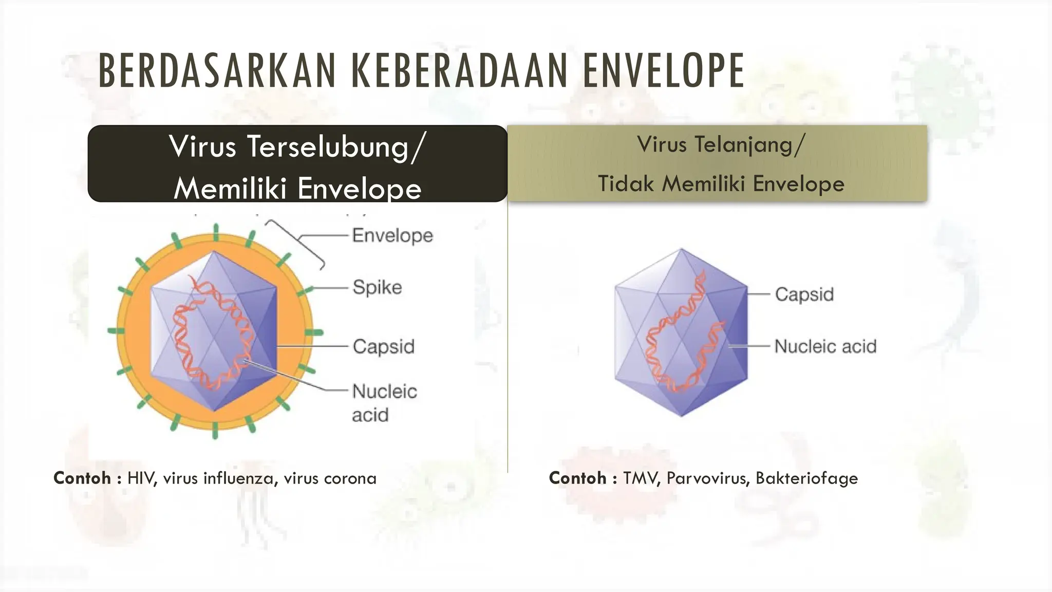 PPT Materi Virus untuk kelas X SMA/MA.pptx