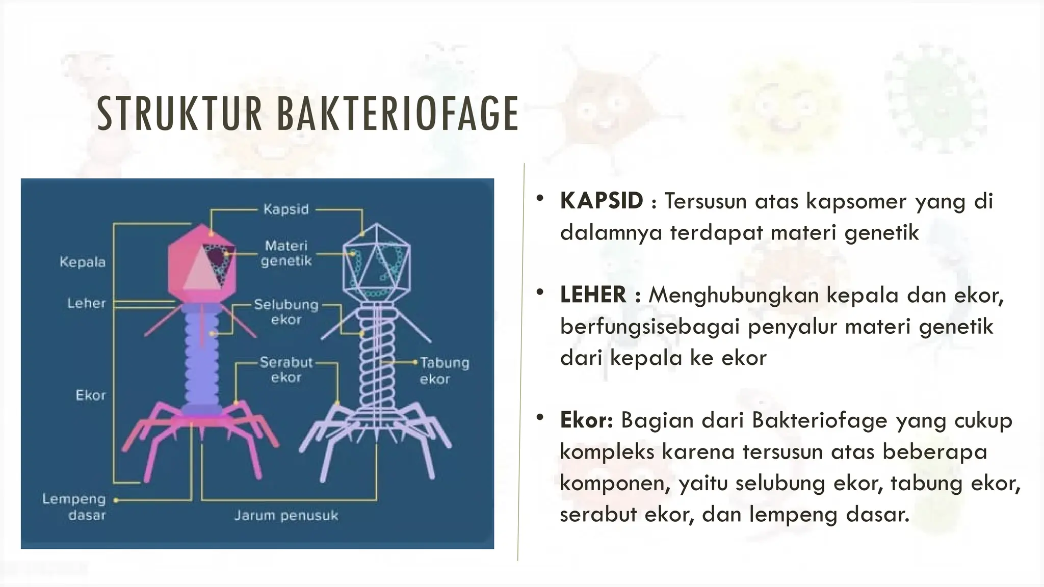PPT Materi Virus untuk kelas X SMA/MA.pptx