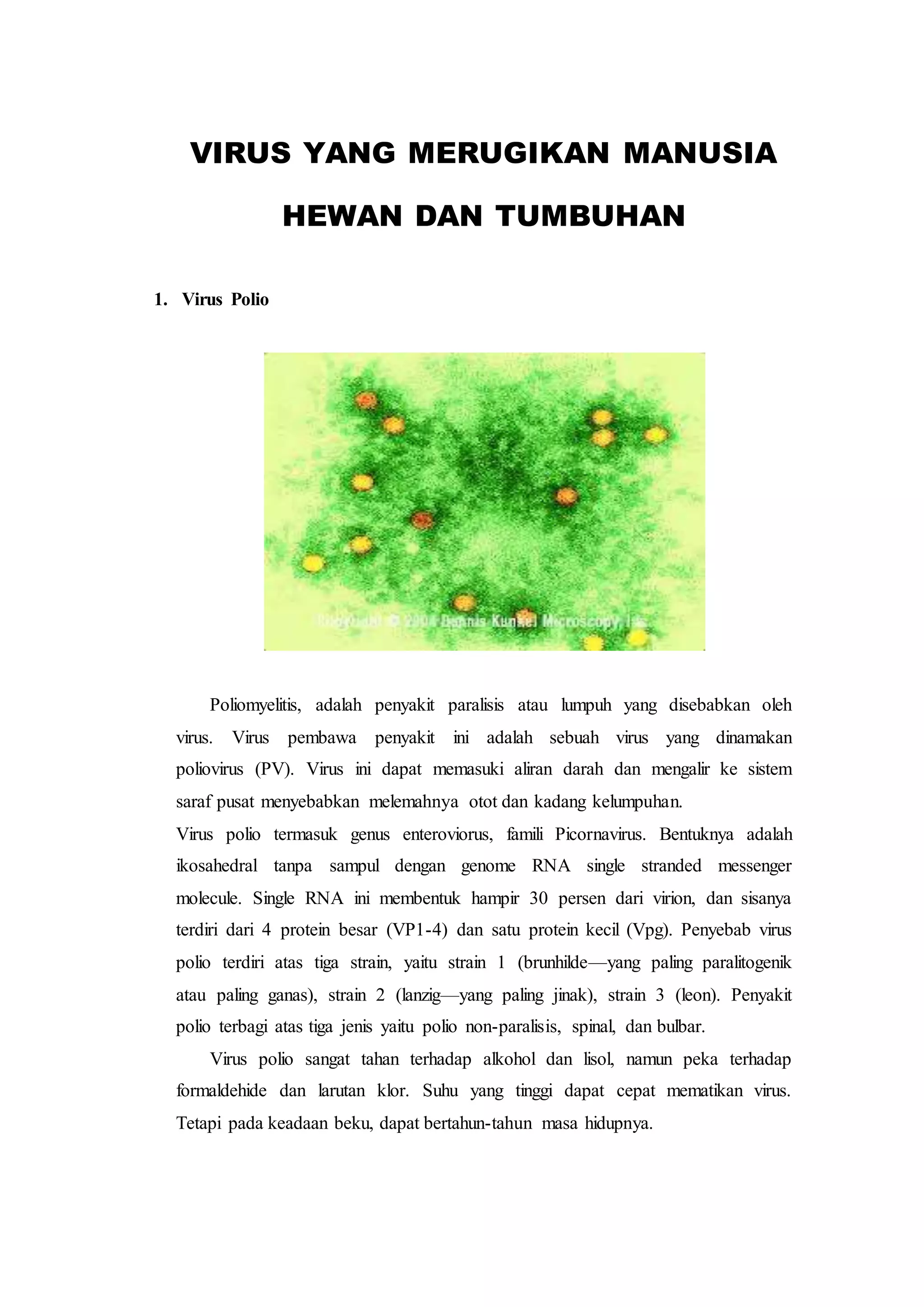Virus yang merugikan manusia hewan dan tumbuhan 2 | DOCX