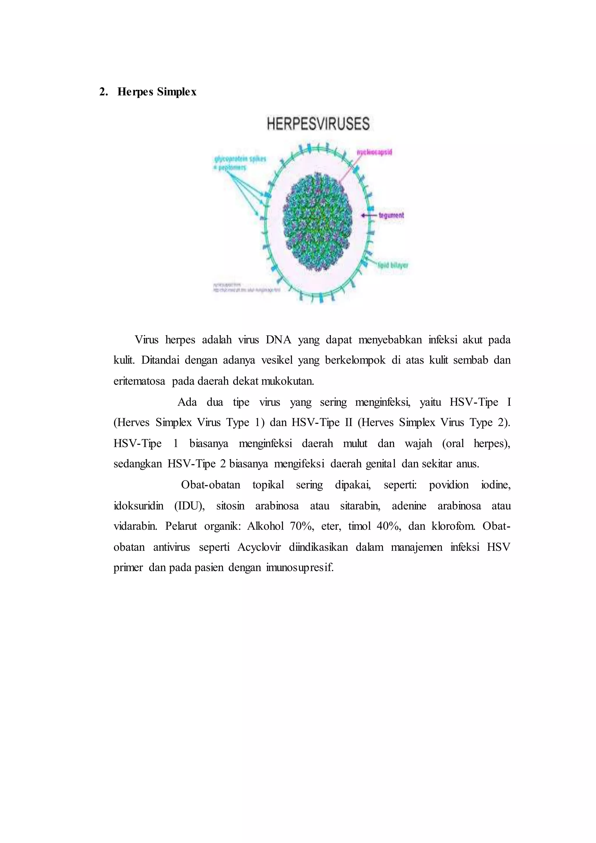 Virus yang merugikan manusia hewan dan tumbuhan 2 | DOCX