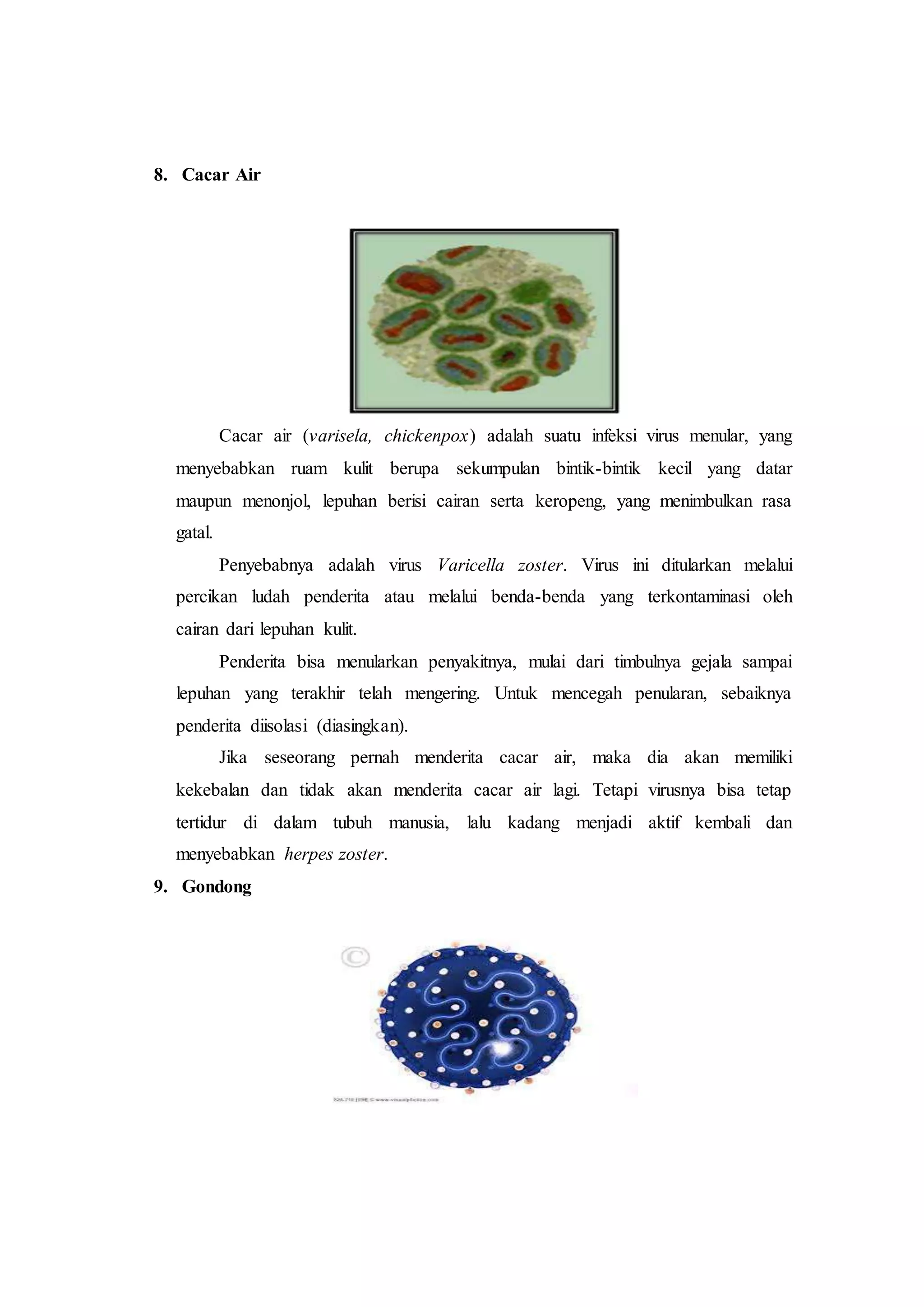 Virus yang merugikan manusia hewan dan tumbuhan 2 | DOCX