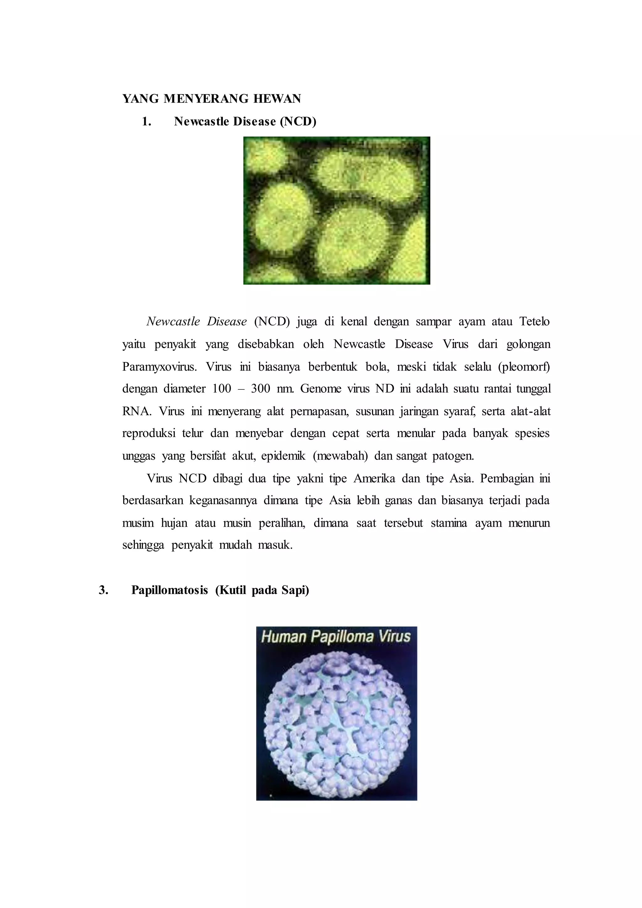 Virus yang merugikan manusia hewan dan tumbuhan 2 | DOCX
