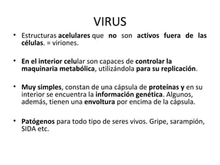 Virus y bacterias | PPT