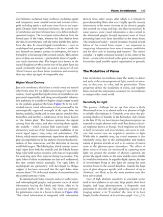 Vis 1--invertebrates-vision | PDF