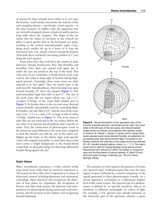 Vis 1--invertebrates-vision | PDF