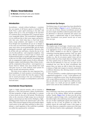 Vis 1--invertebrates-vision | PDF
