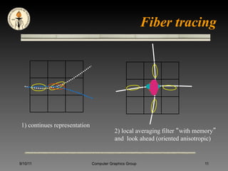Oriented Tensor Reconstruction. Tracing Neural Pathways from DT-MRI | PDF