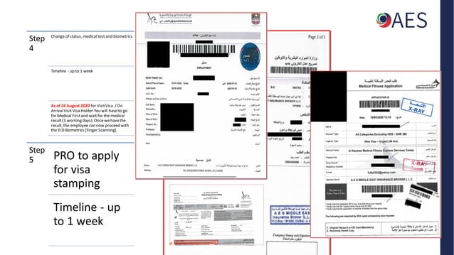 AES visa and labour card process | PPT