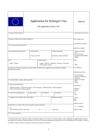 Visa form | PDF