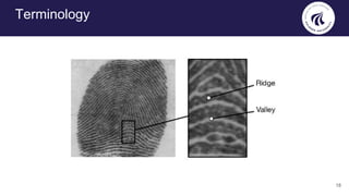 Fast Fingerprint Classification with Deep Neural Networks | PPT