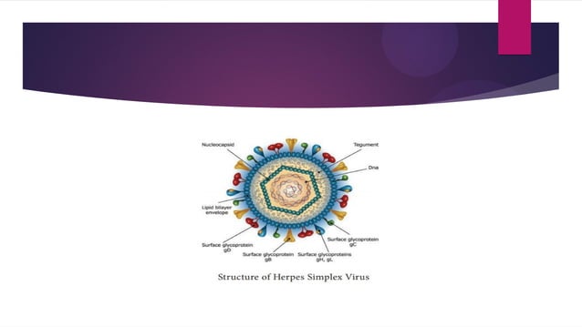 Visarpa aproach towards ayurveda ancient | PPTX