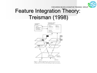 Visual attention | PPT