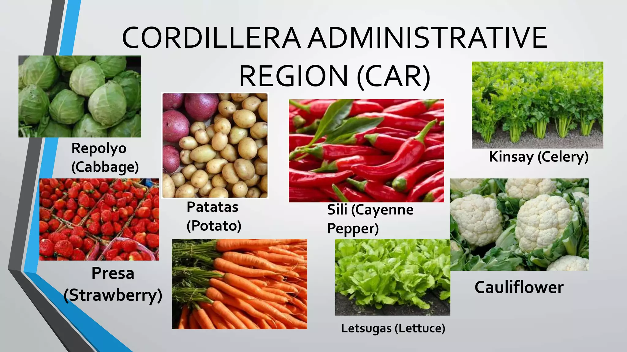 Kultura, Wika, Tradisyon, Turismo at Pista sa mga rehiyon ng Cordillera ...