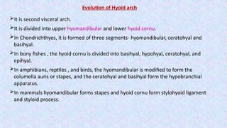 evolution of vvisceral arch in vertebrates.pptx