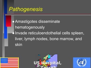 Visceral leishmanasis | PDF