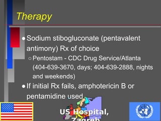 Visceral leishmanasis | PDF