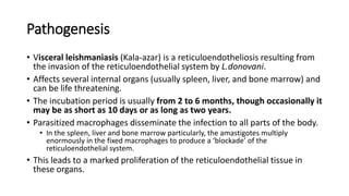Visceral Leshmaniasis/ Kala- azar disease.pptx