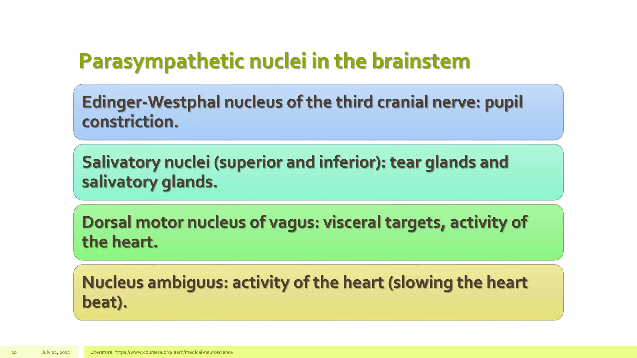 Visceral motor system | PPSX