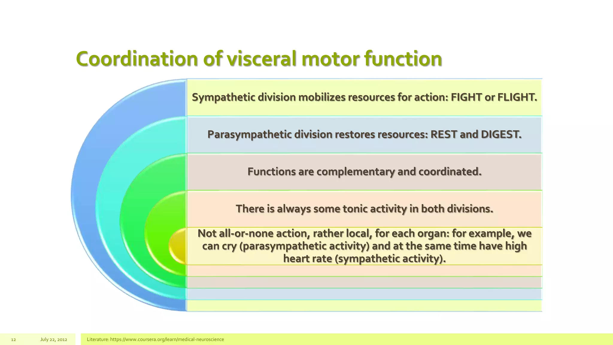 Visceral motor system | PPSX