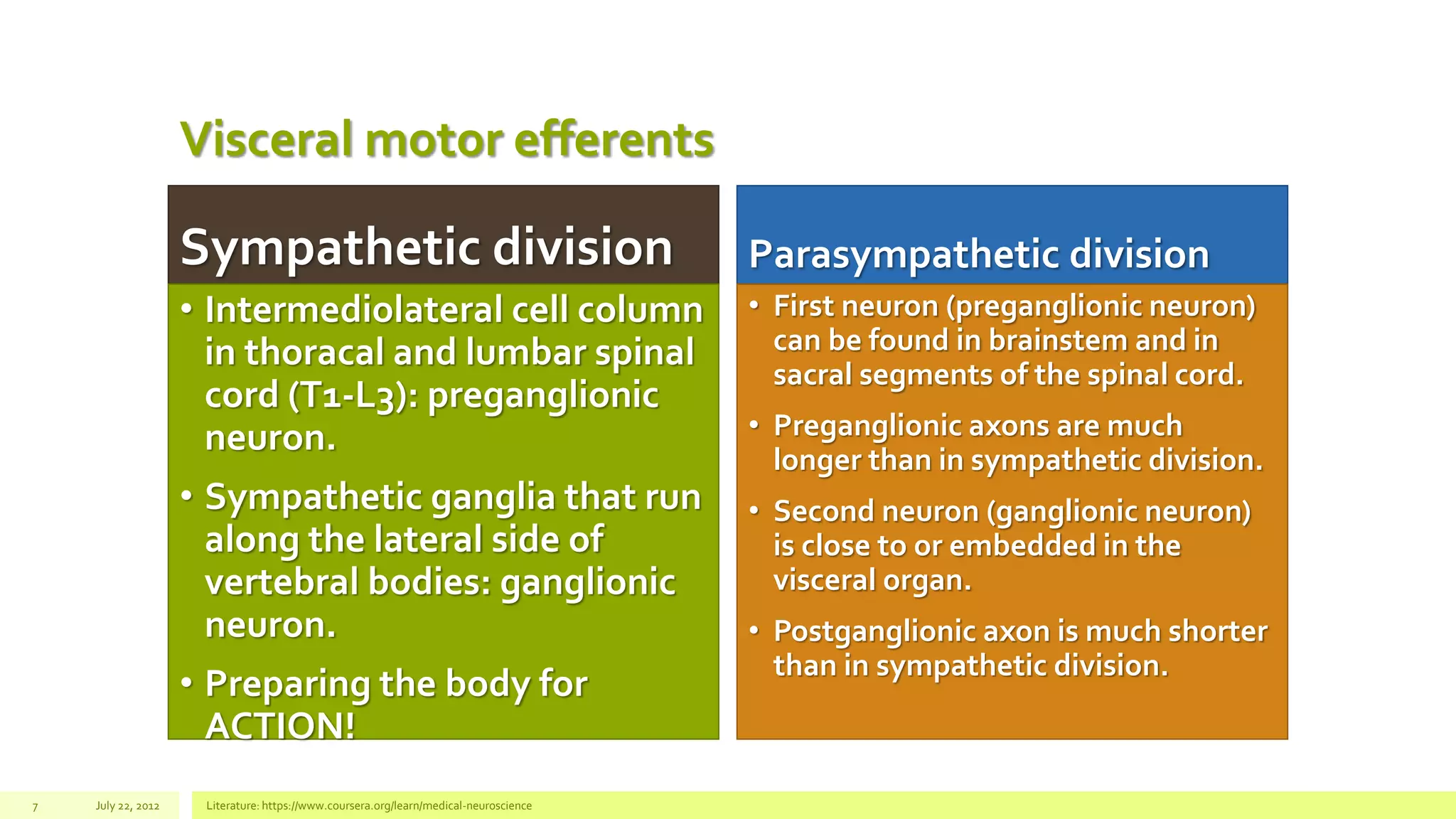 Visceral motor system | PPSX