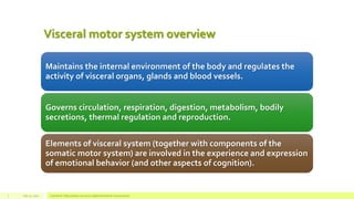 Visceral motor system | PPSX