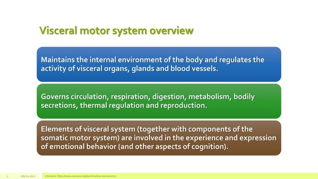 Visceral motor system | PPSX | Brain and Nervous System Disorders ...